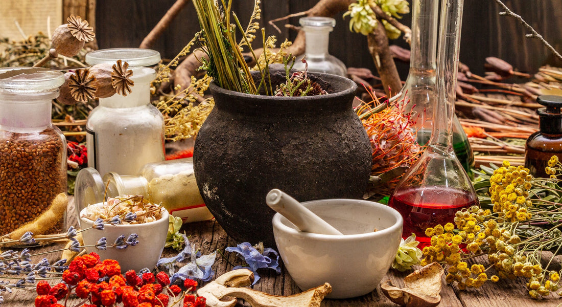 The Herbal Apothecary Lethbridge